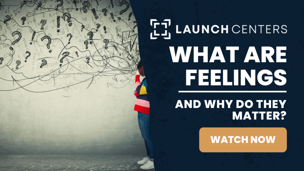 What Are Feelings and Why Do They Matter? | Los Angeles, CA | Launch ...